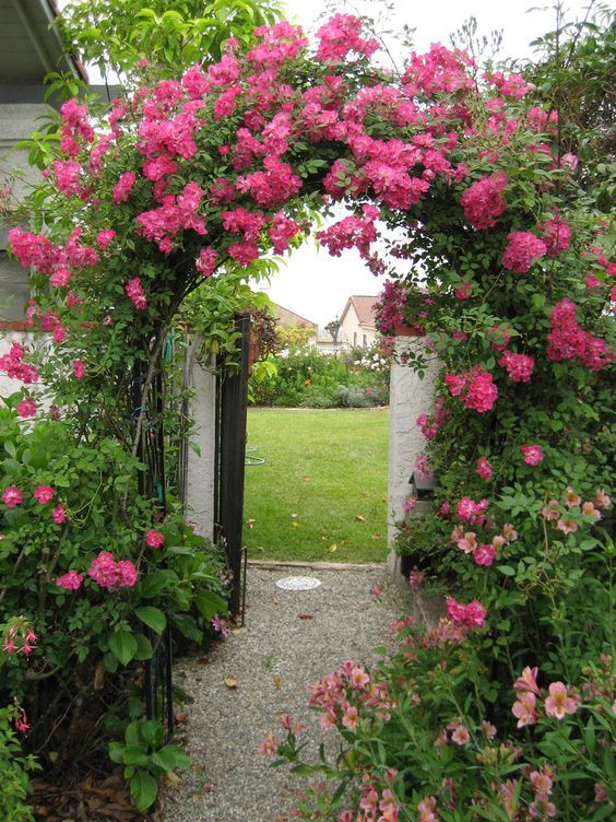 8 stunning flower archway ideas for your garden