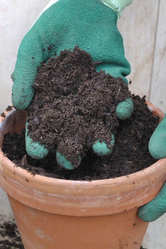 Don’t Throw Away Your Old Potting Soil. Here Are 9 Ways To Reuse And Revitalize Old Soil