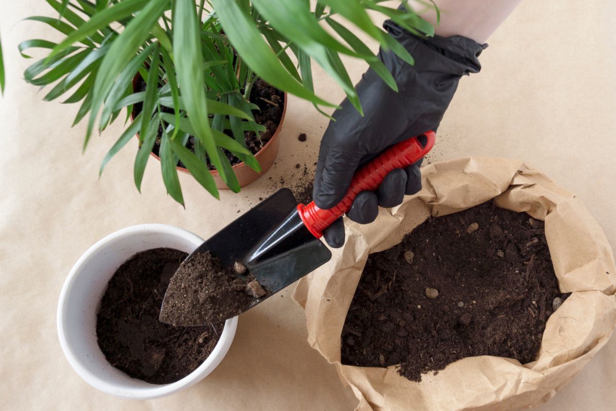 Don’t Throw Away Your Old Potting Soil. Here Are 9 Ways To Reuse And Revitalize Old Soil