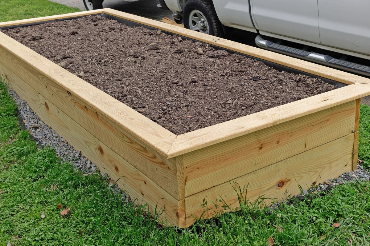 Grow raised beds? Avoid these 9 common mistakes with raised bed gardening