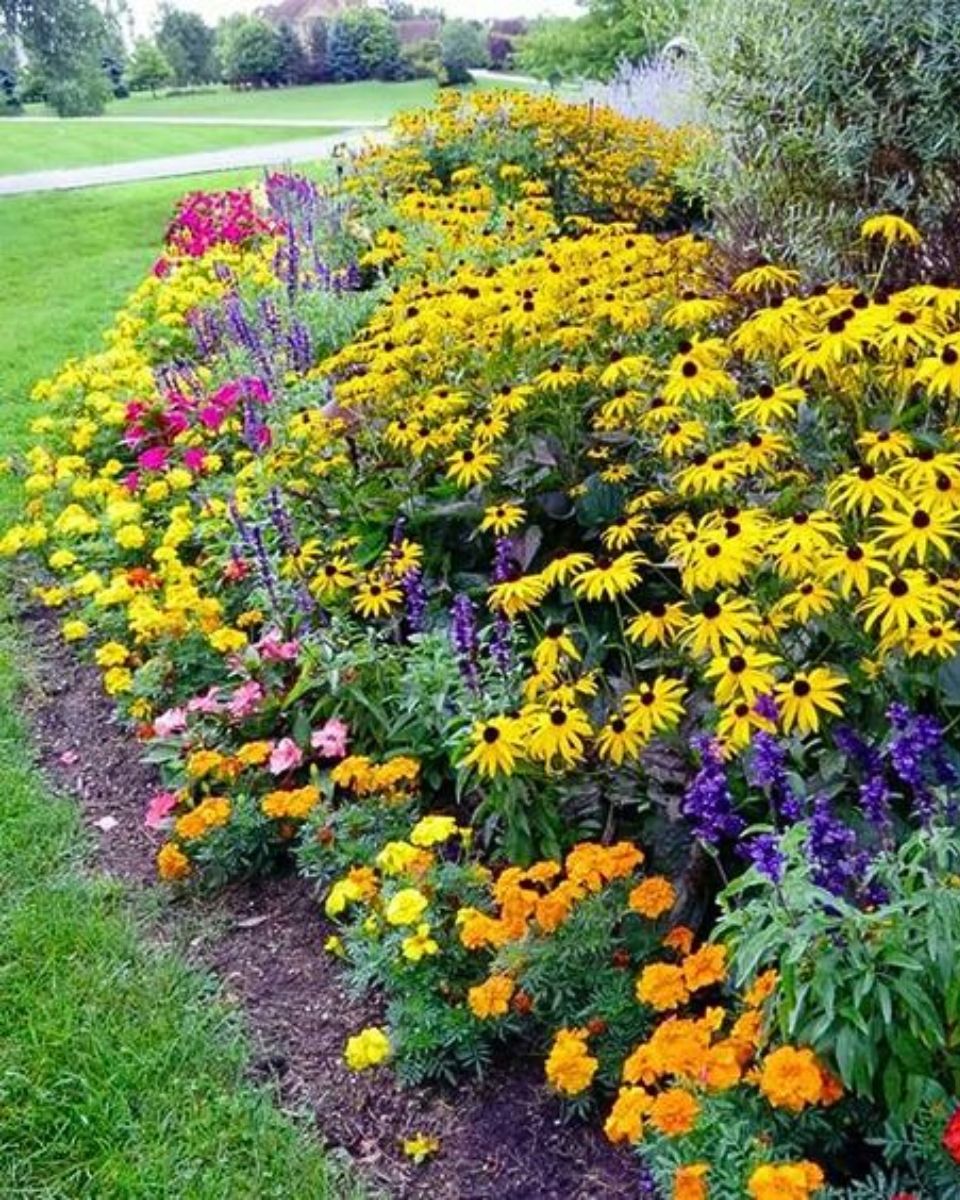 10 top deer-resistant plants you need