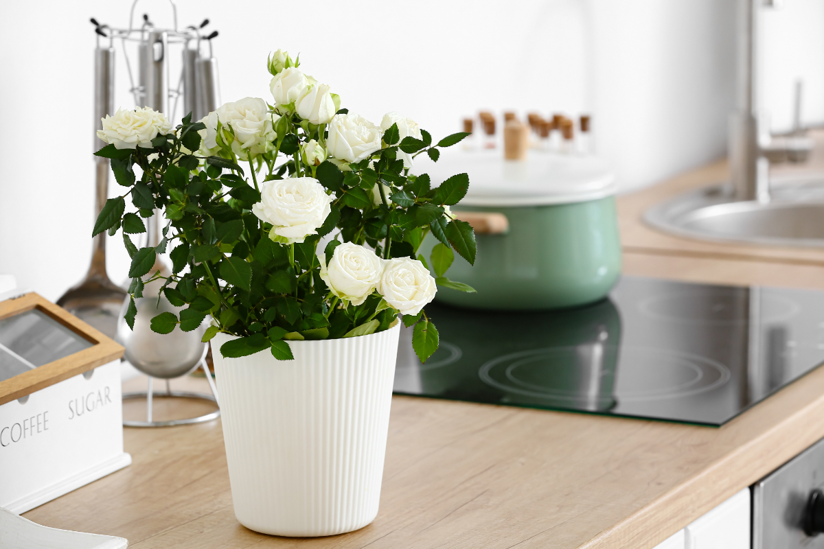 10 Best Flowers For The Kitchen