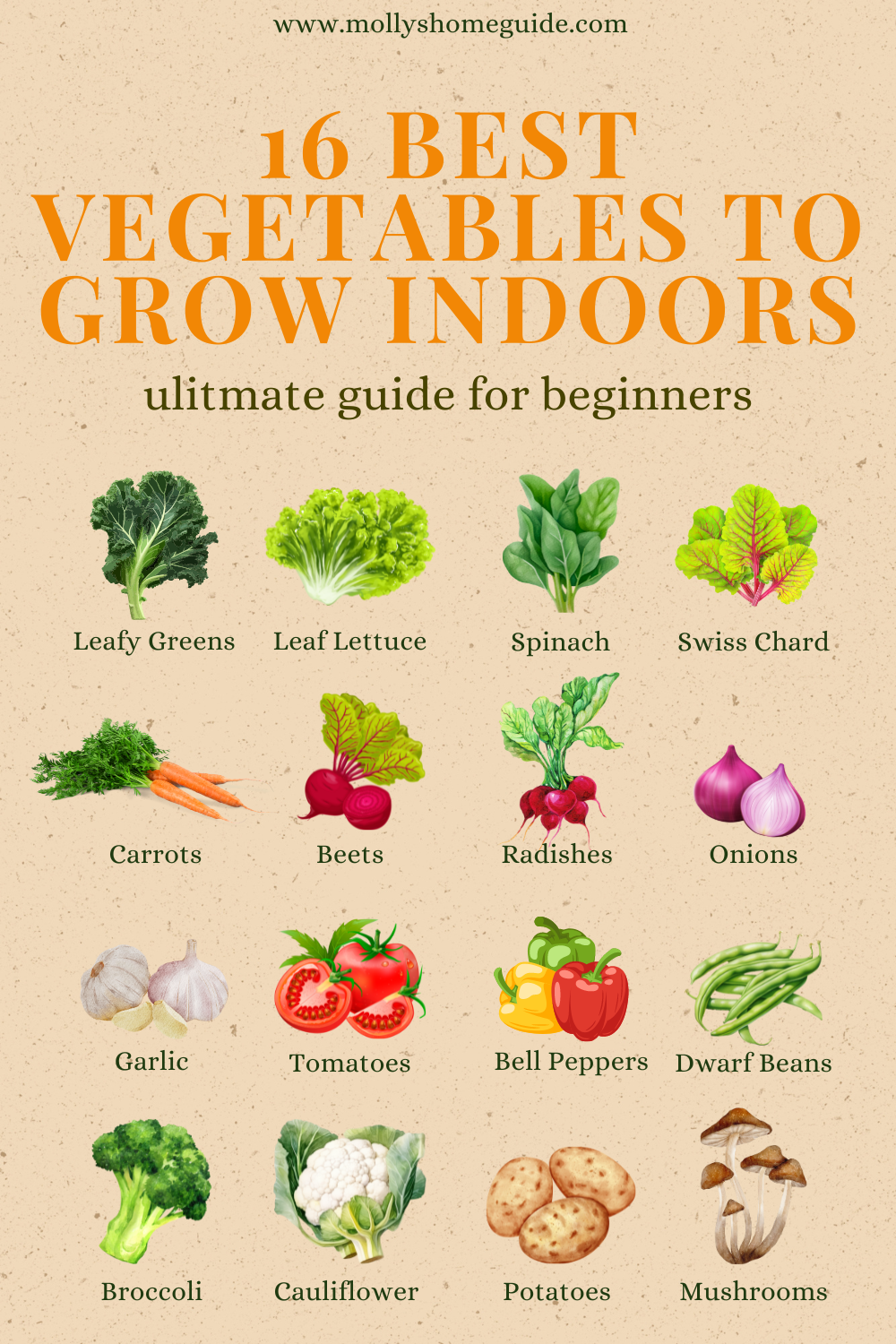 Growing Vegetables Indoors: Ultimate Guide