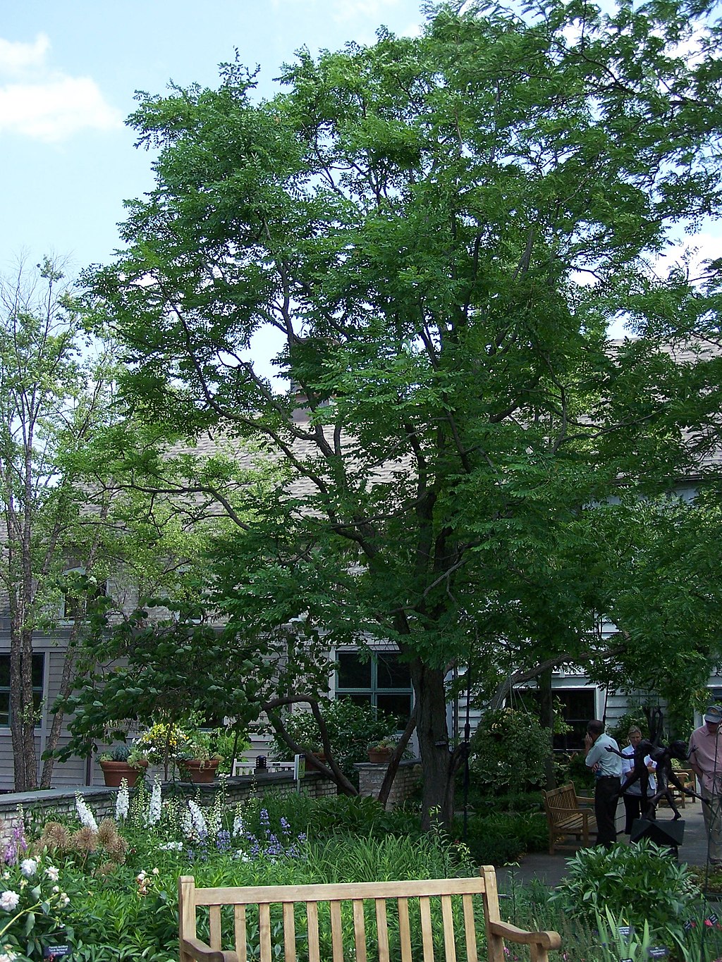 These 10 Trees are Ideal for Utah's Climate and Landscapes