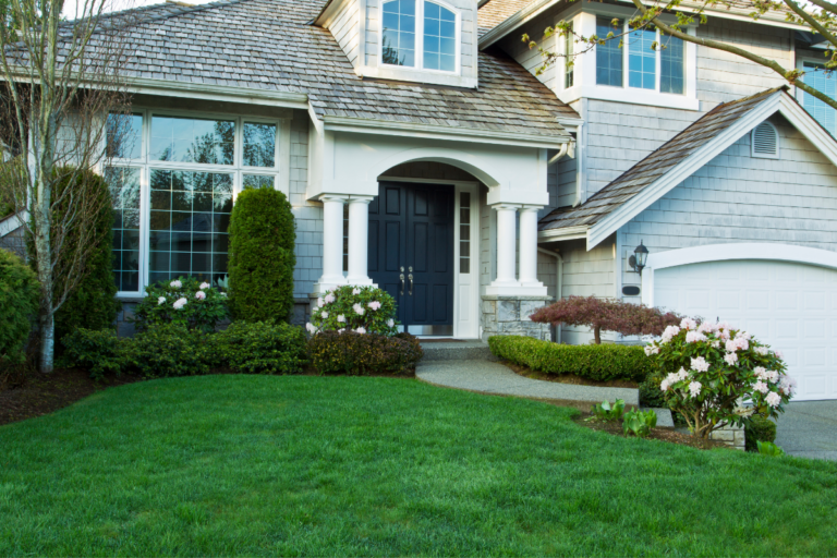 10 Best Shrubs For Front Of House Shade