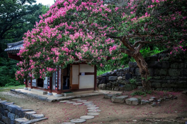 10 Brilliant Trees Perfect for Alabama's Climate