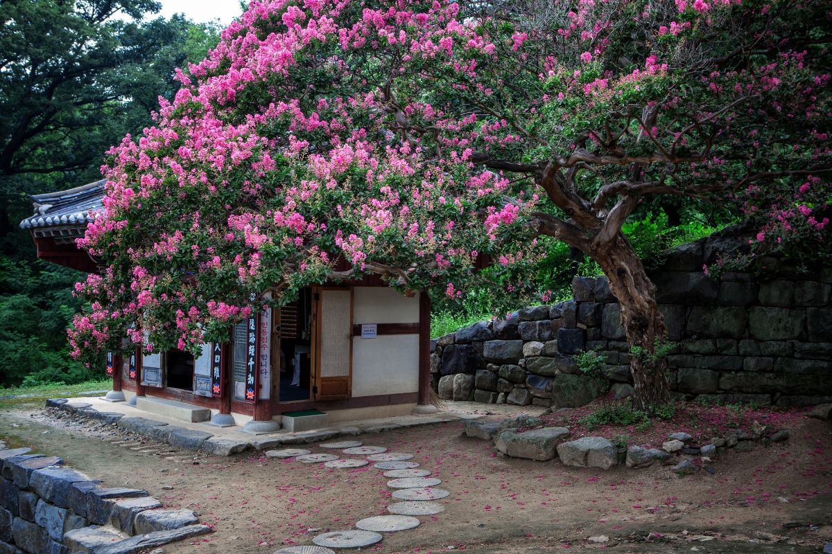 10 Brilliant Trees Perfect for Alabama's Climate