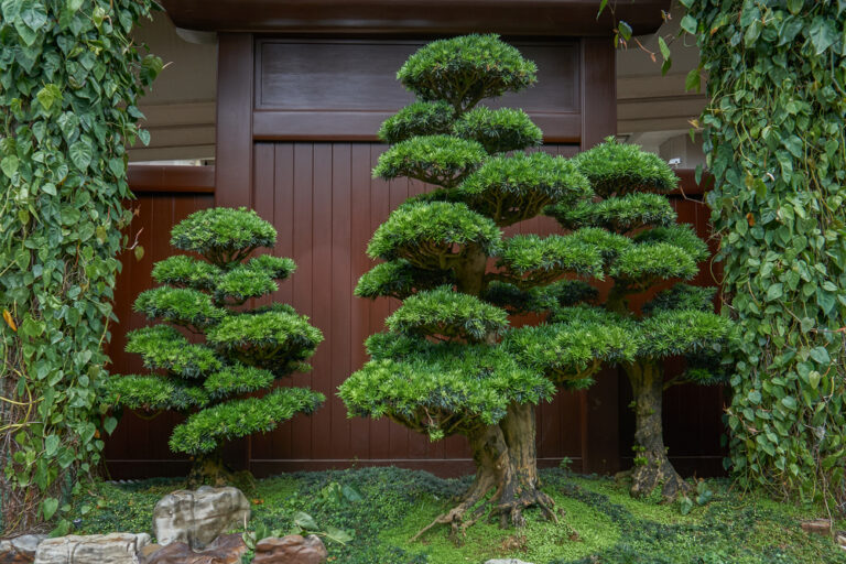 If You Want to Create an Authentic Japanese Garden, You Should Plant ...