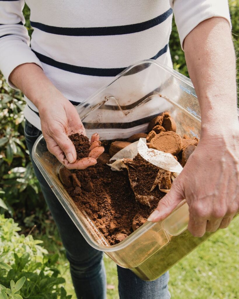 20 Easy Methods to Change Your Hydrangea Color From Pink to Blue (Or ...