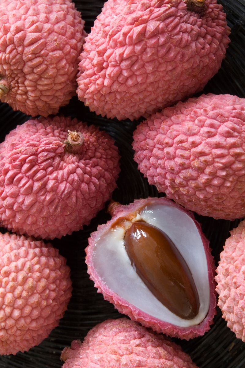 8 Tactics To Grow Lychee From Seed