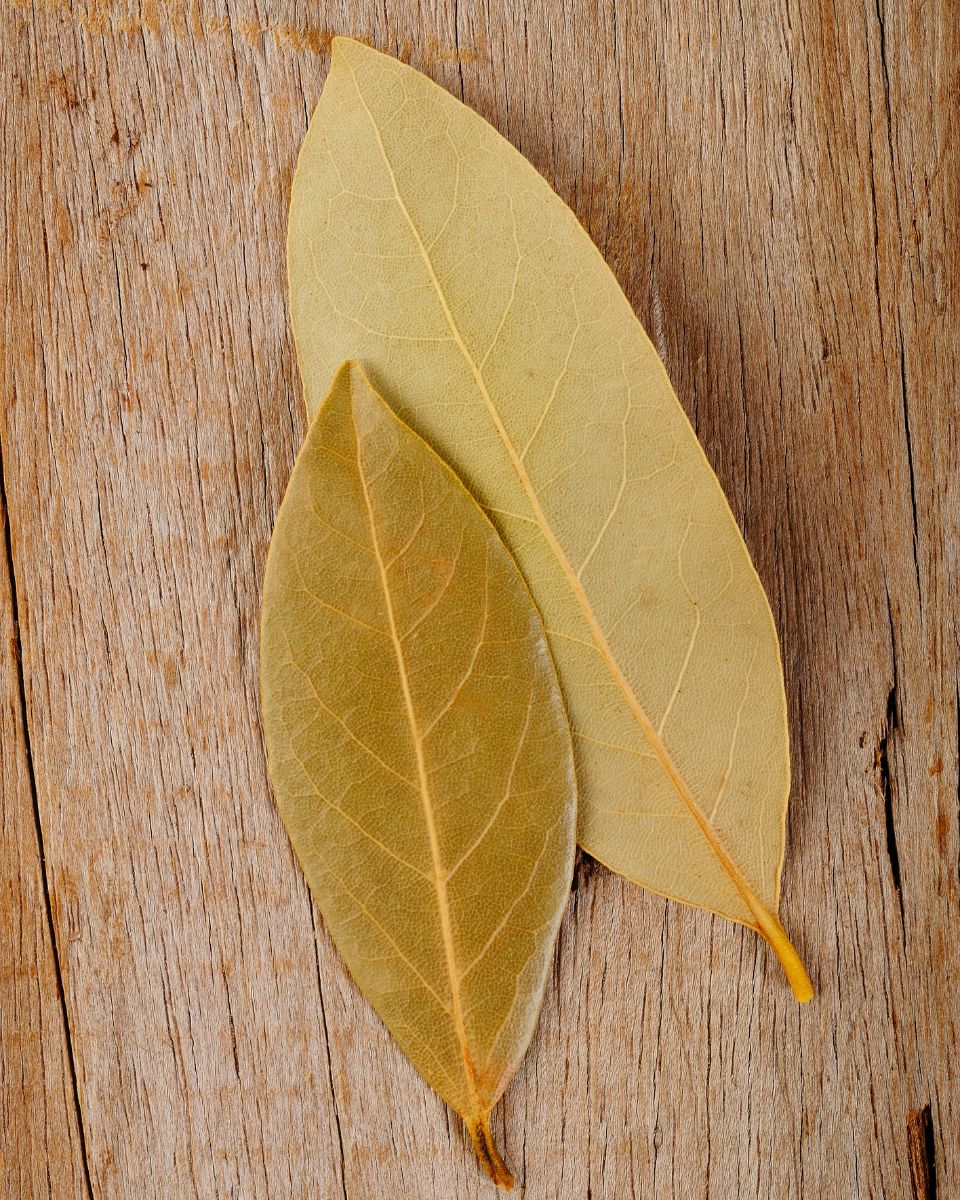 Put a bay leaf under your pillow for this amazing effect