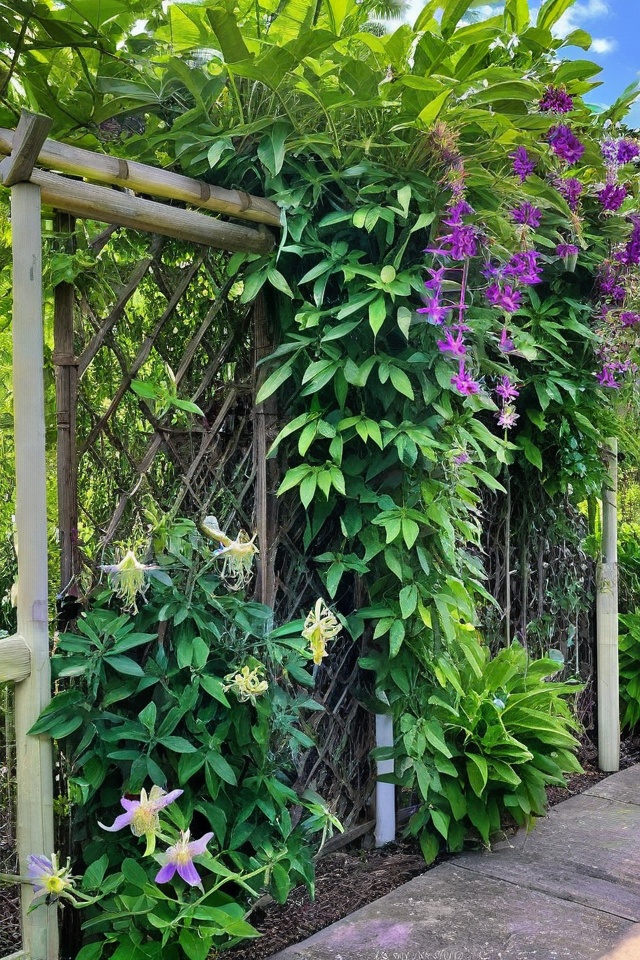 11 Best Climbing Flowers For Florida