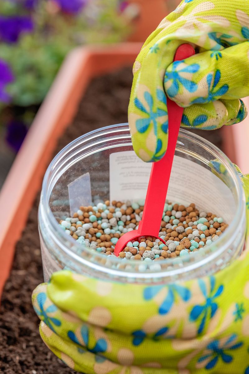 Most People Make These 6 Fertilizing Mistakes. Here's How to Avoid Them.