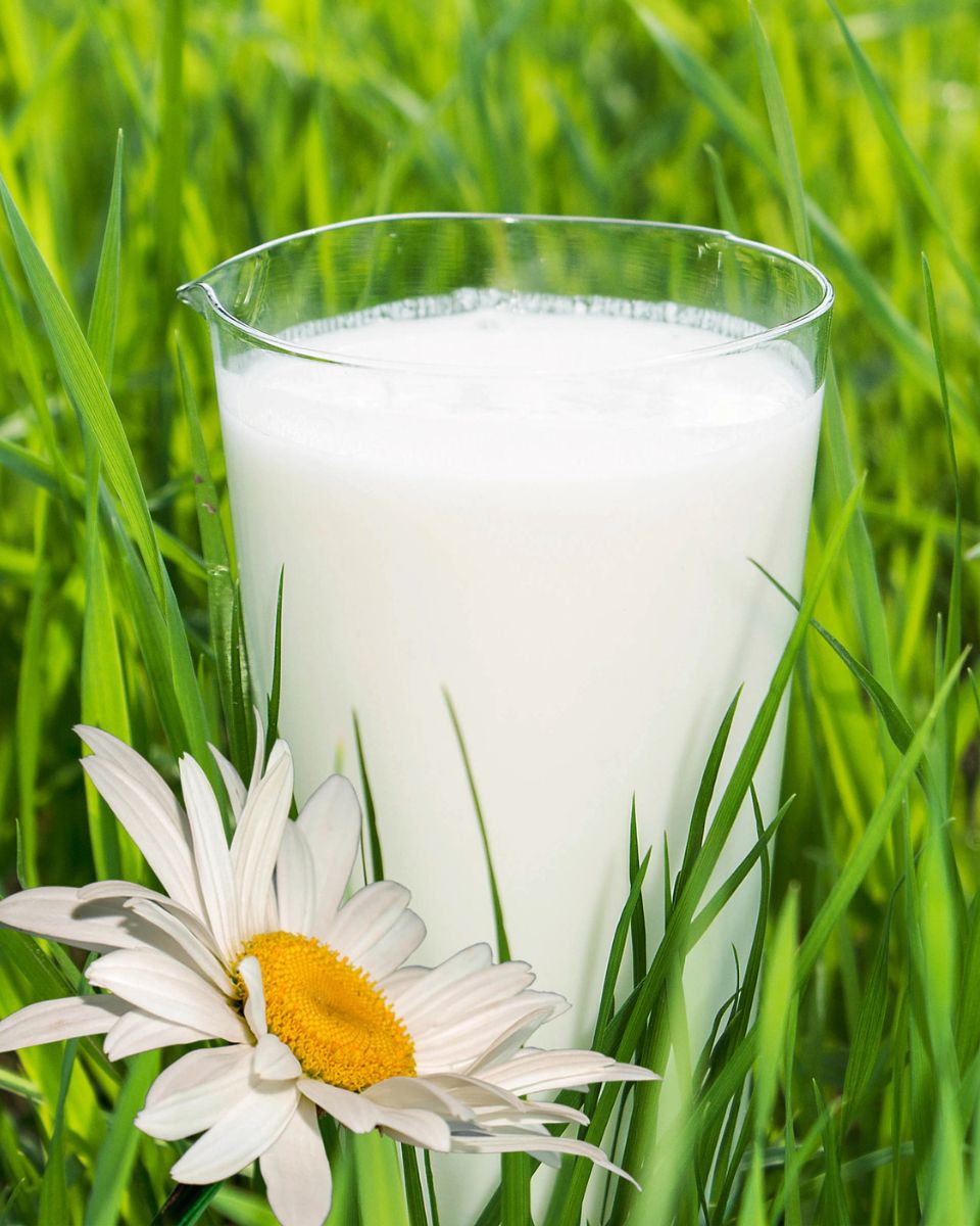 Milk is a Gardener's Best Friend. Here's Why.