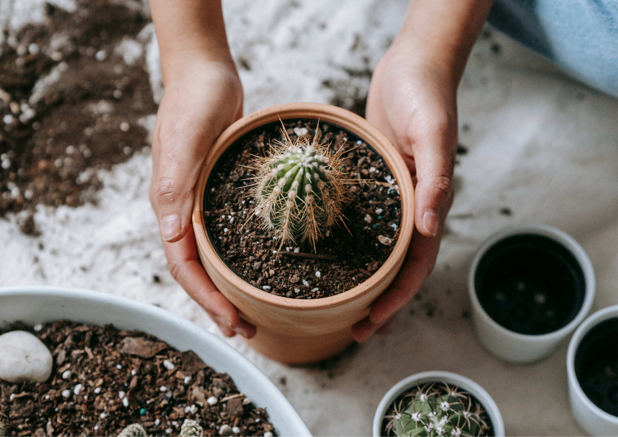 Place a pot upside down in the dirt for this amazing effect