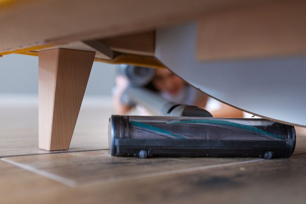 Here's The Best Trick to Eliminate Spiders From Your Home in 2 Minutes ...