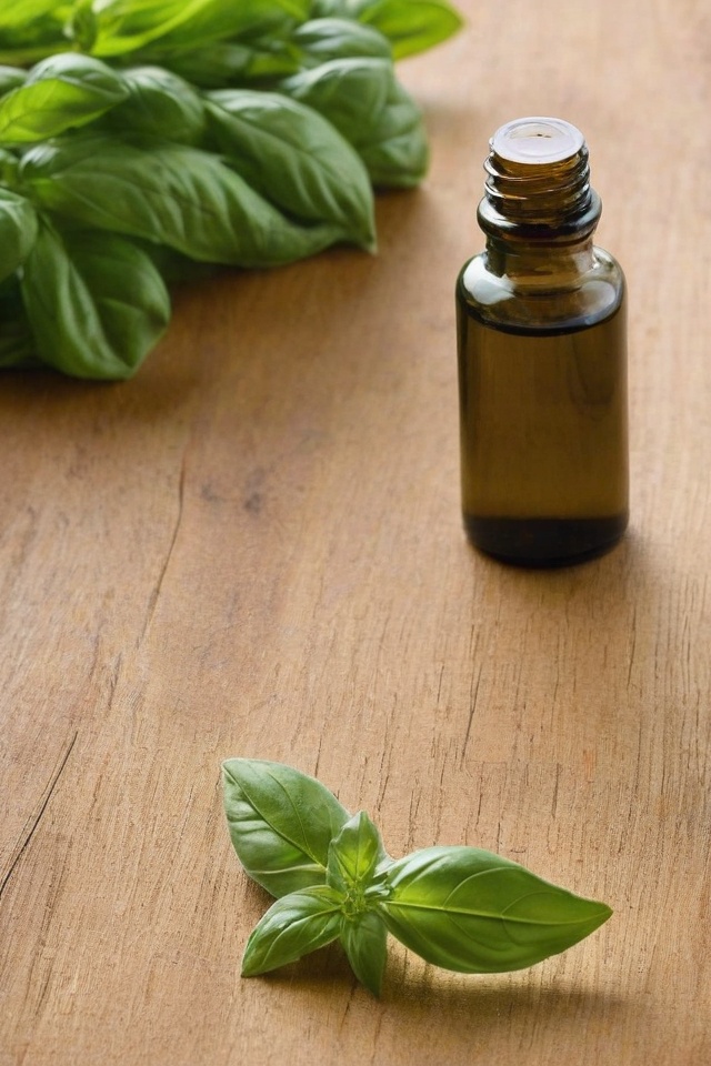 10 Essential Oils For Nausea