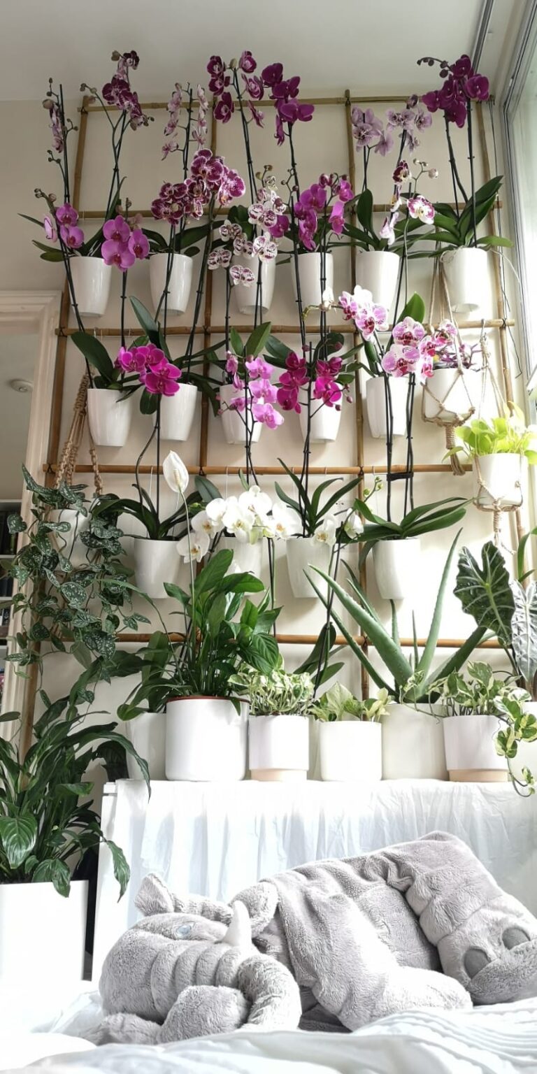 11 Long-Blooming Flowers For Year-Round Beauty