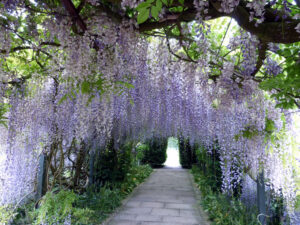 If You Want to Create an Authentic Japanese Garden, You Should Plant ...