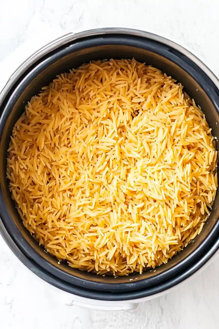Flavorful Orzo in Rice Cooker