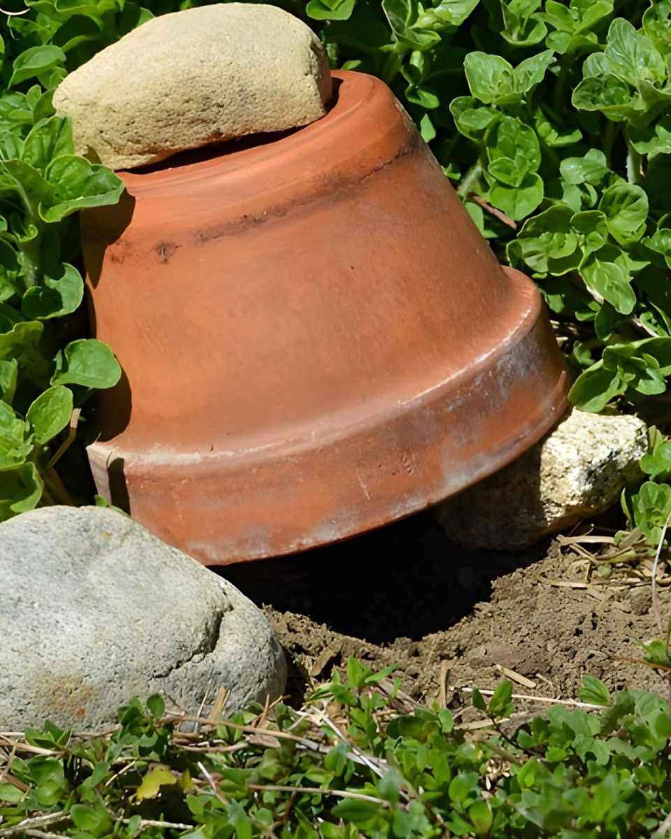 Place a Pot Upside Down in the Dirt for This Amazing Effect
