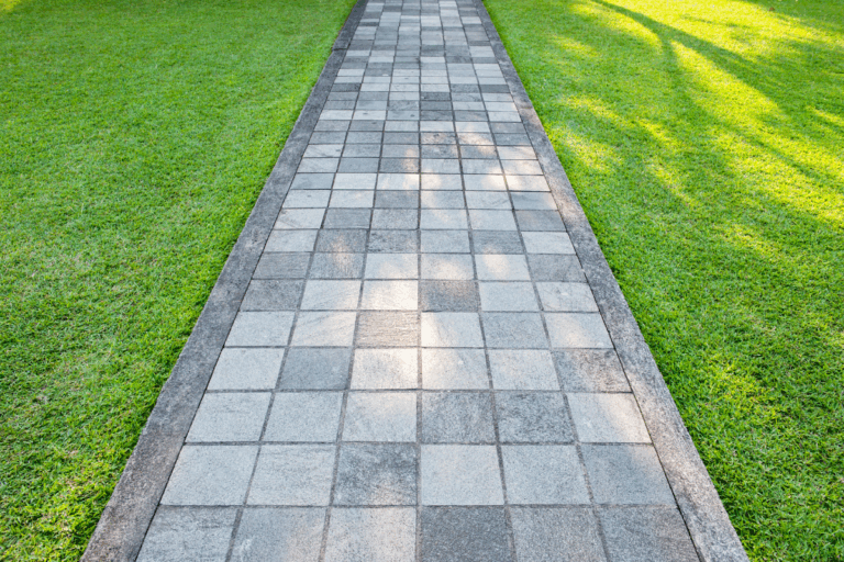 The 10 Reasons Your Lawn Has Brown Patches (And Exactly How to Fix Each ...