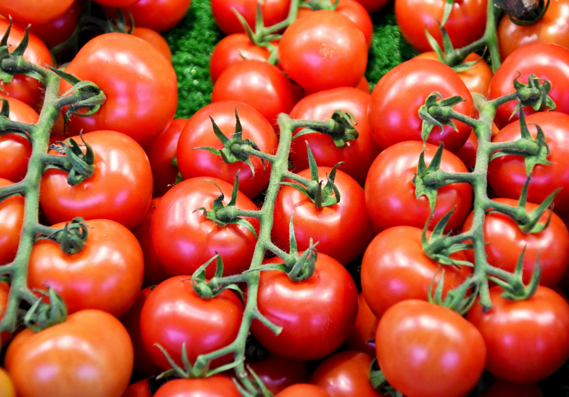 The 10-Cent Ingredient That Makes Store-Bought Tomatoes Taste Like They ...