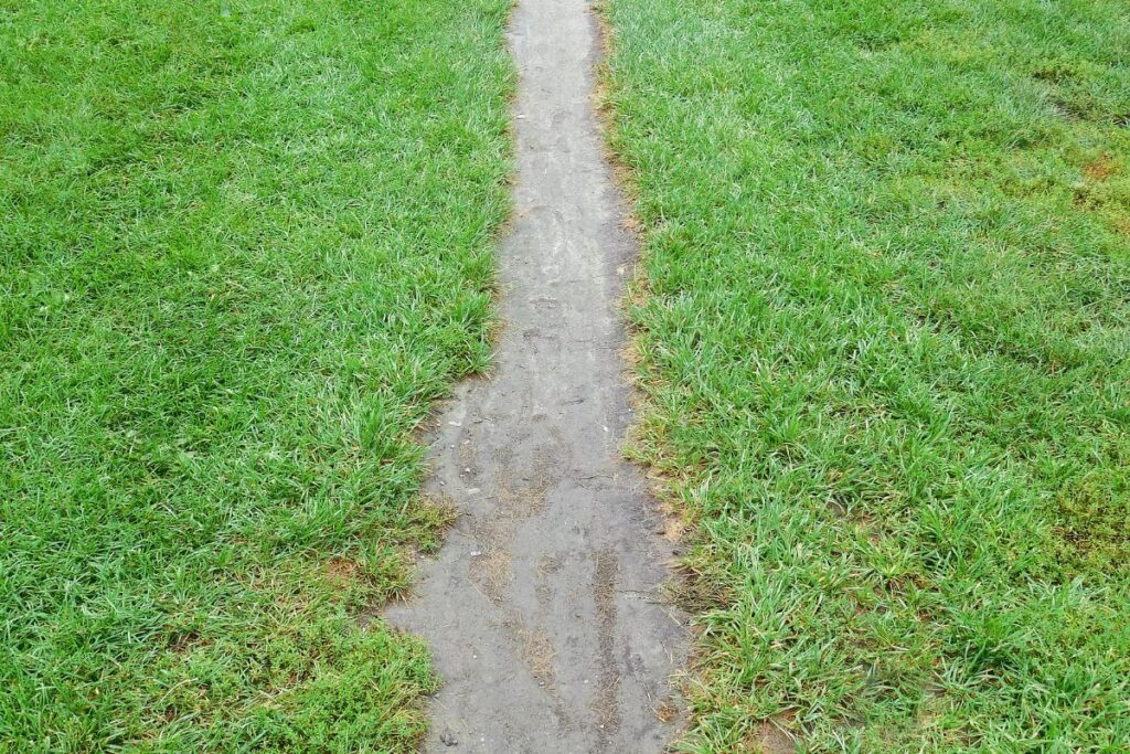 10 Sneaky Signs You Have a Mole Problem (Before They Destroy Your ...