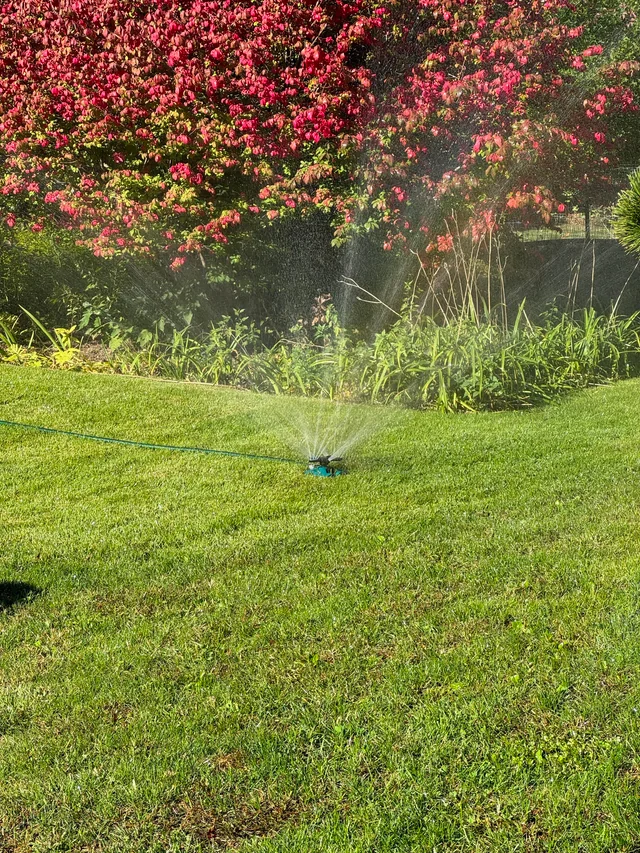 15 Must-Have Yard Features That Increase Property Value in 2026